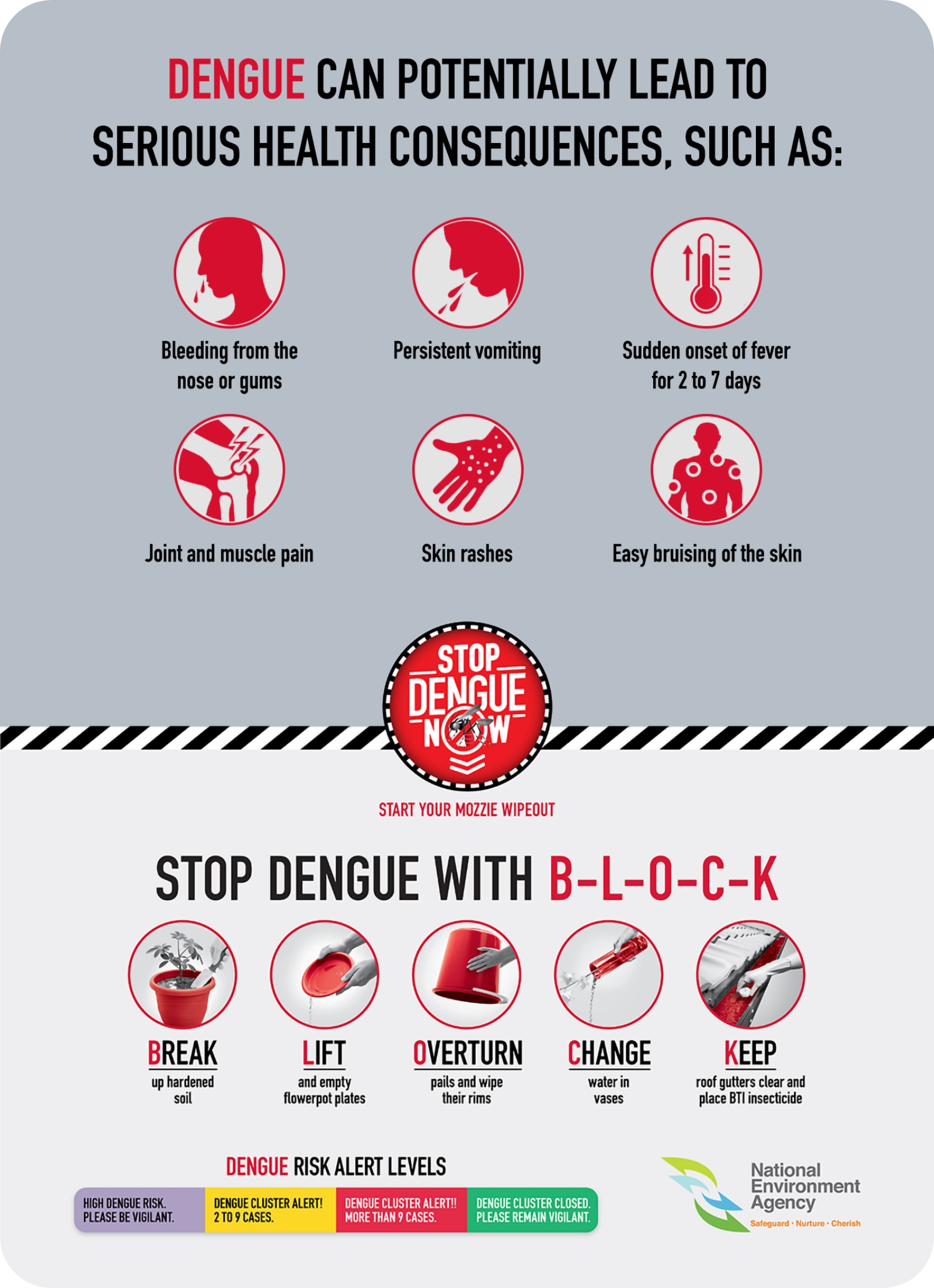 Understanding Dengue